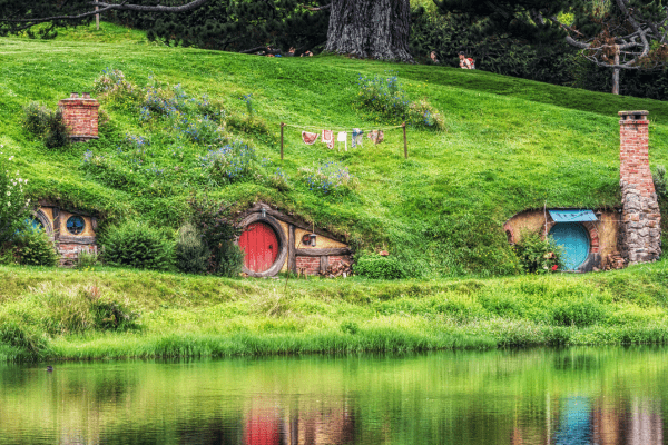 Discover the top 10 places to visit in New Zealand!